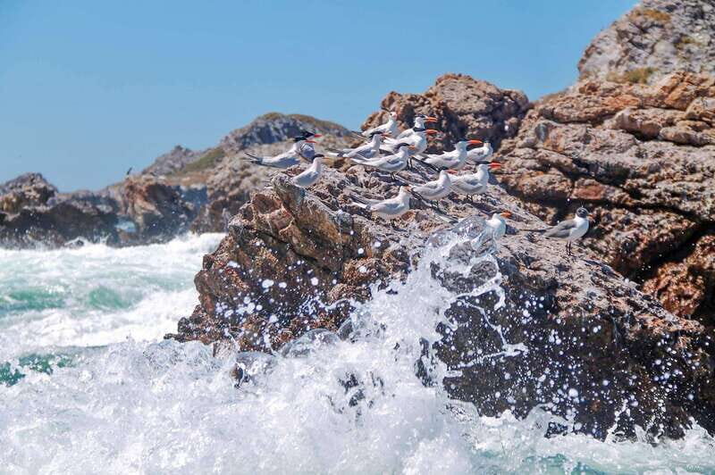From Vallarta: Marietas Islands & Beach BBQ at Majahuitas - FAQ