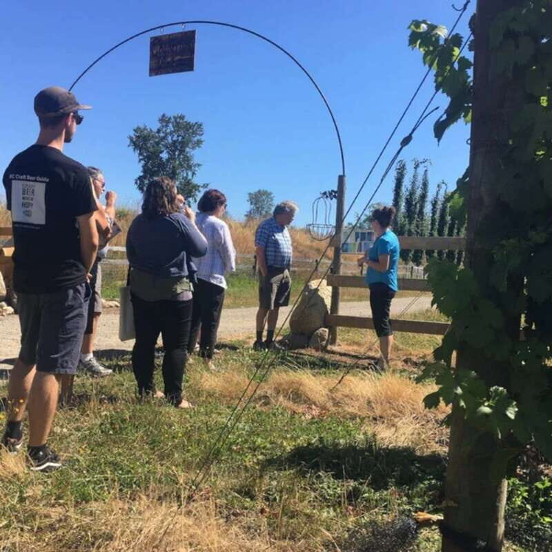 From Vancouver: Fraser Valley Wine Tour with Local Tastings - Reviews Snapshots: What Other Travelers Say