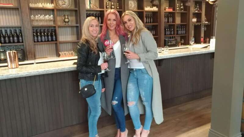From Vancouver: Half-Day Fraser Valley Wine Tour - Authenticity and Experience