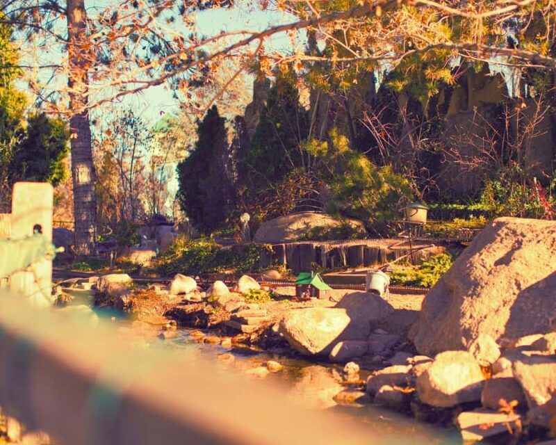 From Vancouver: Professional Photoshoot & Tour - Key Points