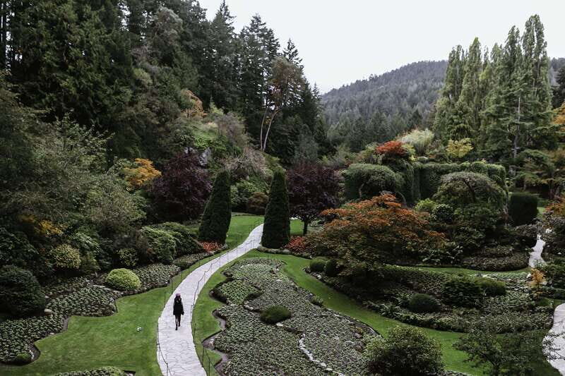 From Vancouver: Victoria, BC Ferry, Butchart Gardens Tour - The Travel Experience: Pros and Cons