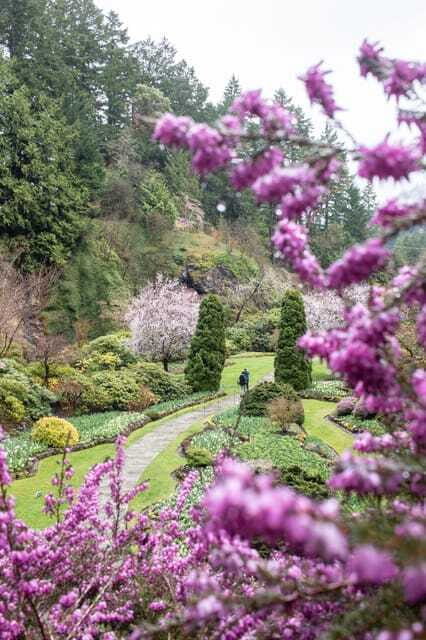 From Vancouver: Victoria, BC Ferry, Butchart Gardens Tour - Who Would Enjoy This Tour?
