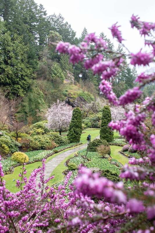 From Vancouver: Victoria, BC Ferry, Butchart Gardens Tour - FAQ