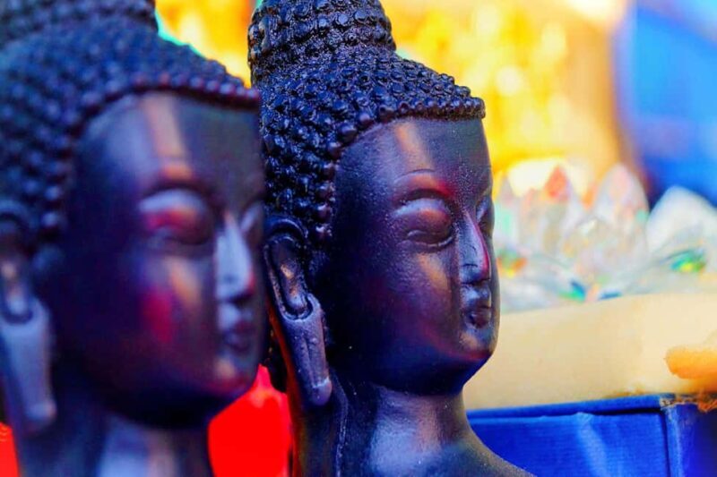 From Varanasi: Bodhgaya Day Trip with Private Transfer - Learning about Buddhism in Bodhgaya