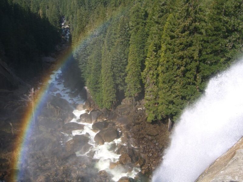 From Vegas: Yellowstone, Yosemite, and Rockies 11-Day Tour - What Travelers Say and Why This Tour Shines
