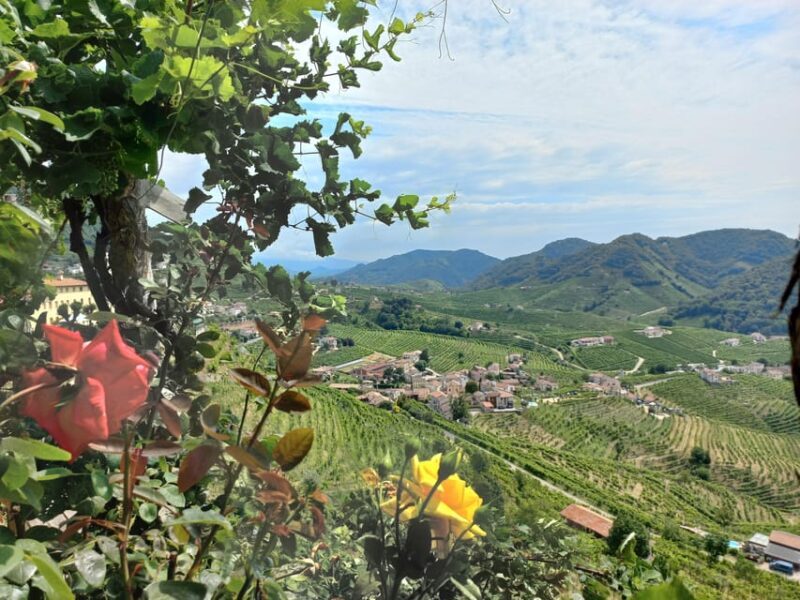 From Venice and Treviso: Prosecco Hills Wine and Food Tour - Discovering the Prosecco Hills: An Authentic Italian Experience