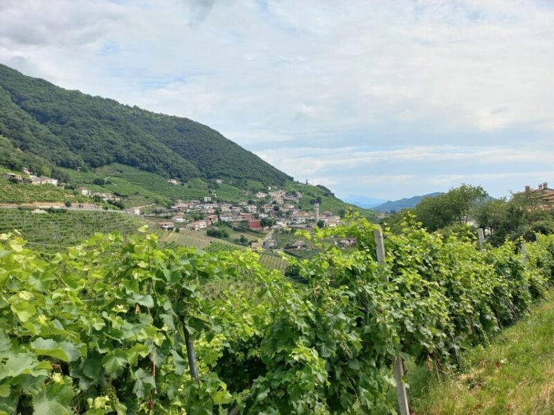 From Venice and Treviso: Prosecco Hills Wine and Food Tour - Valdobbiadene: The Heart of Prosecco Country