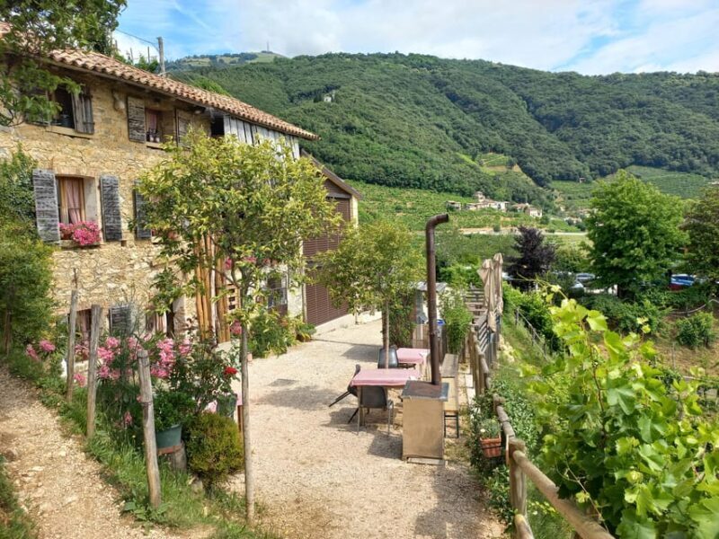 From Venice and Treviso: Prosecco Hills Wine and Food Tour - The Toast Among Vineyards