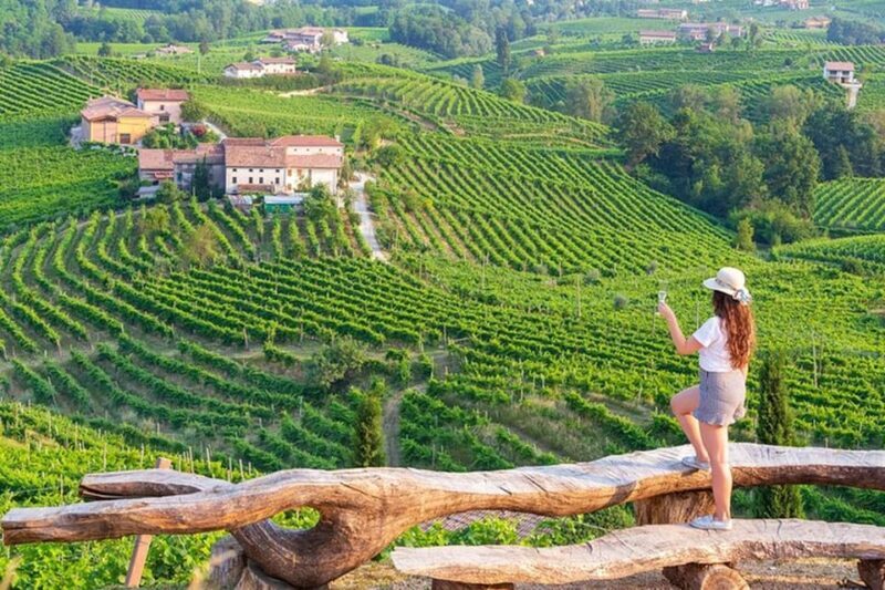 From Venice: Wine and Food tour in the Prosecco Hills - Key Points