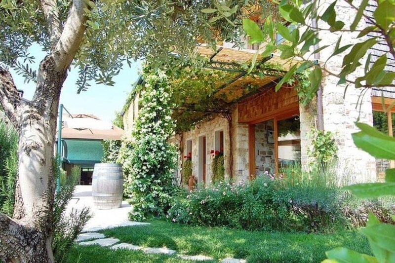 From Venice: Wine and Food tour in the Prosecco Hills - The Real Value of the Tour