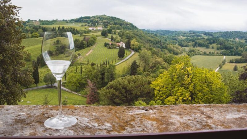 From Venice: Wine and Food tour in the Prosecco Hills - Authenticity, Food, and Wine Quality