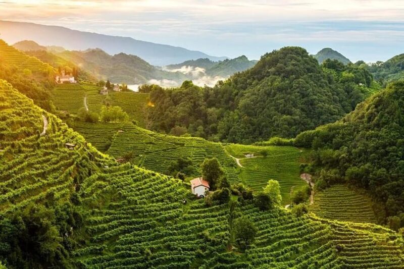 From Venice: Wine and Food tour in the Prosecco Hills - Who Will Love This Tour?