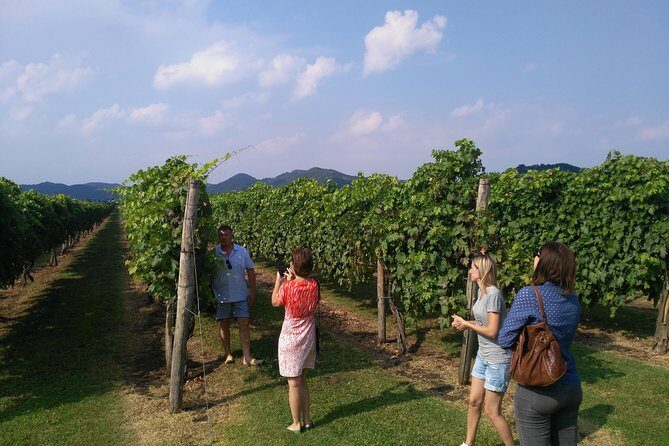 From Venice: Wine Tour in the Euganean Hills - Final Thoughts: Is This Tour Right for You?