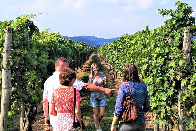 From Venice: Wine Tour in the Euganean Hills - FAQs