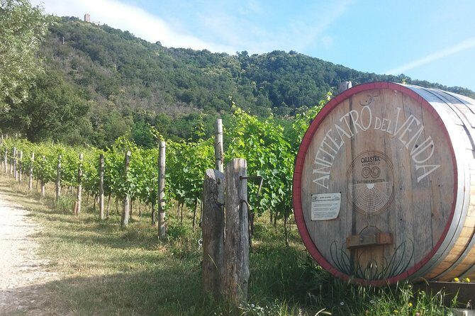From Venice: Wine Tour in the Euganean Hills - Final Words