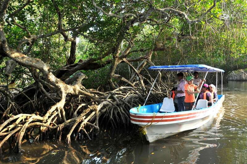 From Veracruz: Nature & Seafood Boat Tour to Madinga - Authenticity, Value, and Authentic Experiences