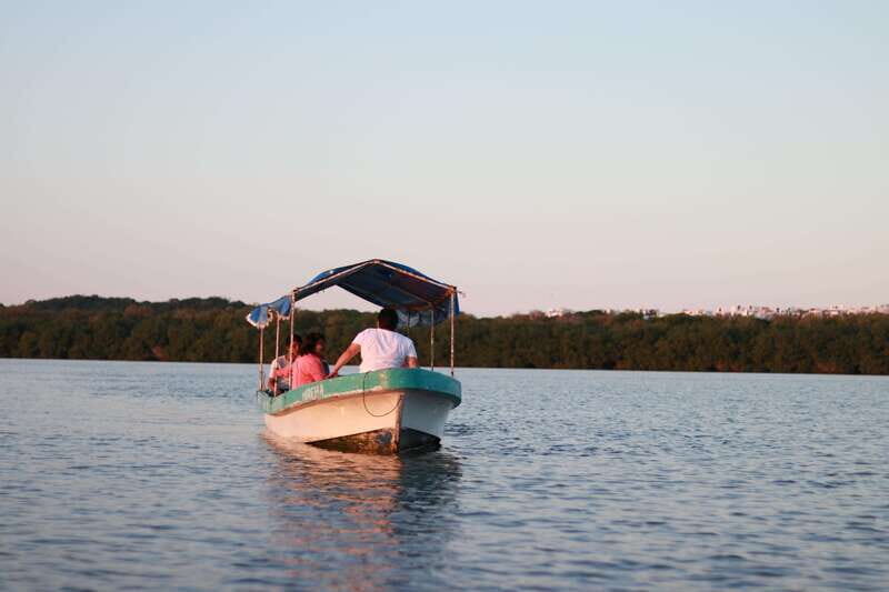 From Veracruz: Nature & Seafood Boat Tour to Madinga - Final Thoughts