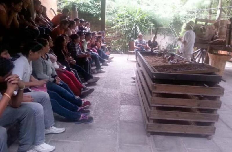 From Veracruz: Xalapa & Coatepec Day Trip - Key Points