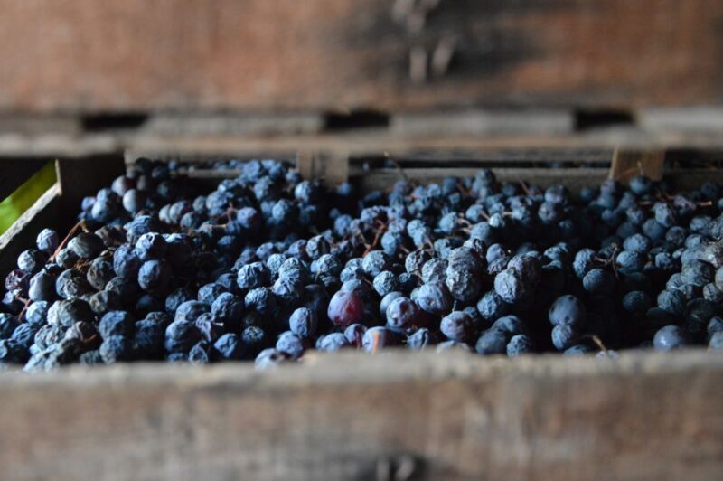 From Verona: Amarone Half-Day Wine Tasting Tour - FAQs
