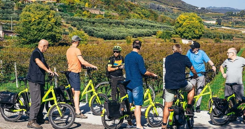From Verona: Amarone Wine E-Bike Tour with Tasting - Price & Value