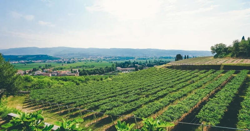 From Verona: Amarone Wine E-Bike Tour with Tasting - The Sum Up