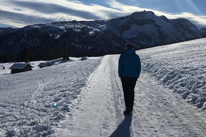 From Verona area: Private day trip to the Dolomites - In-Depth: What to Expect on Your Day