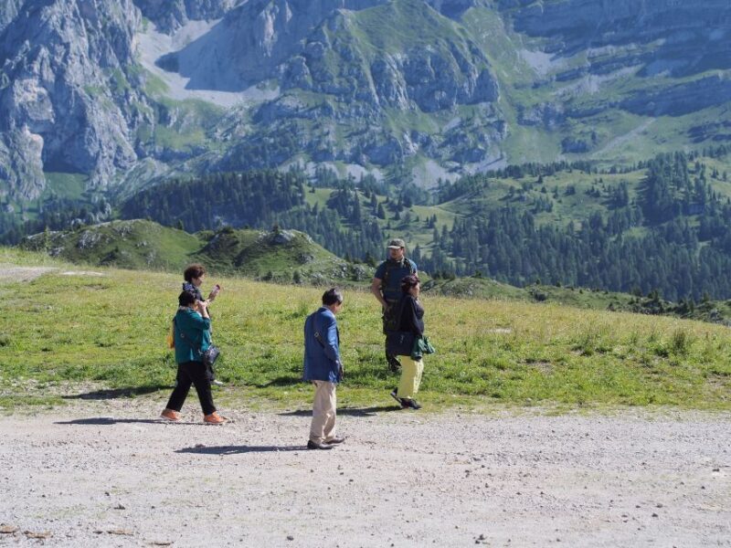From Verona: Full-day Dolomites Mountains Guided Tour - Who Is This Tour Best For?