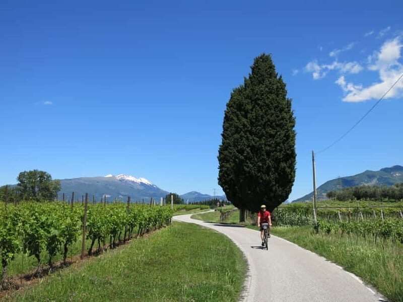 From Verona: Lake Garda E-Bike tour with lunch SELF GUIDED - Who Will Love This Tour?