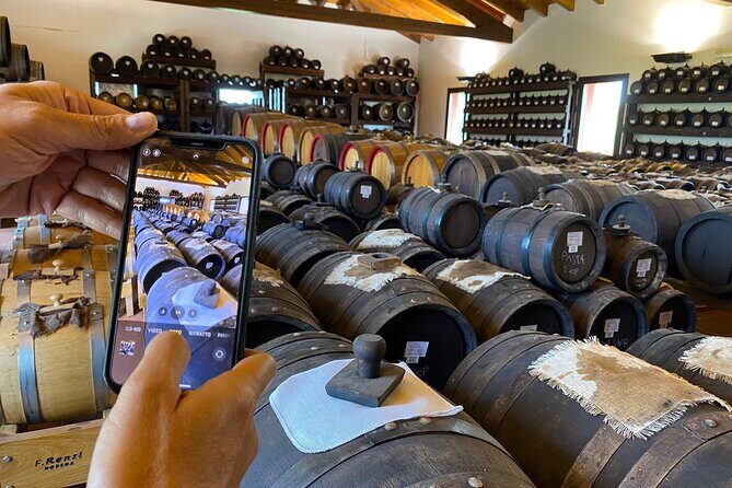 From Verona, Modena trip: Parmigiano factory, vinegar & Ferrari - Key Points