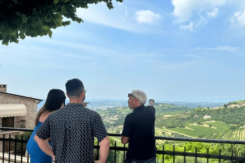 From Verona: tour of Lake Garda, Bardolino and Valpolicella! - Exploring the Veneto Landscape and Its Highlights