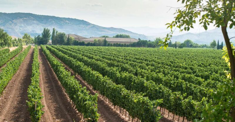 From Verona: Valpolicella and Amarone full day private tour - Key Points
