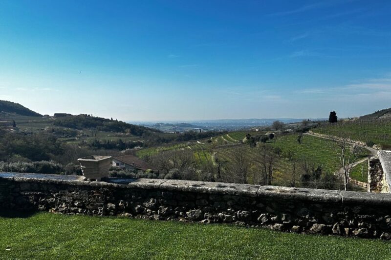 From Verona: Valpolicella and Amarone full day private tour - A Gourmet Lunch in a Traditional Osteria