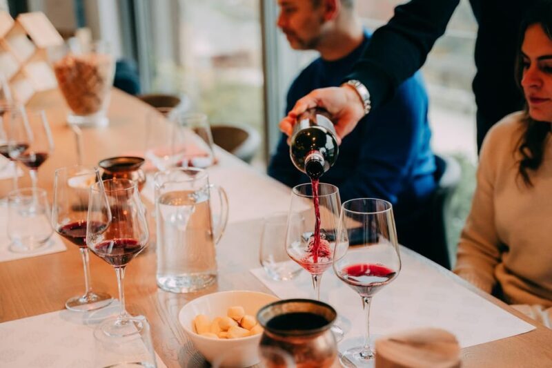 From Verona: Valpolicella and Amarone Wine Tasting Tour - The Wines and the Experience