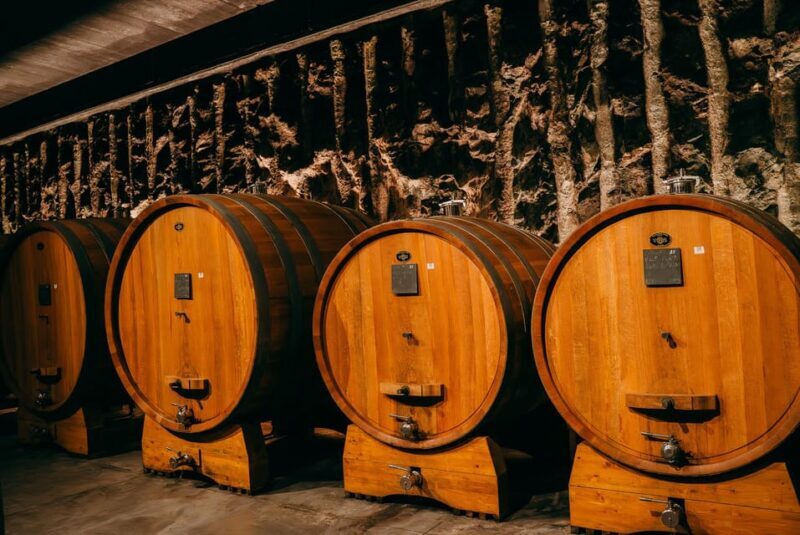 From Verona: Valpolicella and Amarone Wine Tasting Tour - Who Is This Tour Best For?
