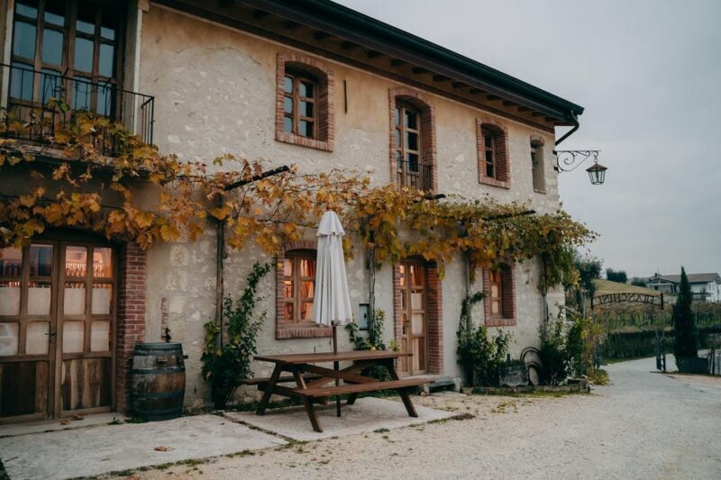 From Verona: Valpolicella and Amarone Wine Tasting Tour - Final Thoughts