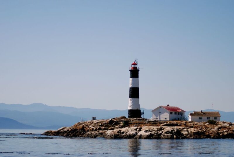 From Victoria: Whale Watching Marine Wildlife Excursion - The Sum Up