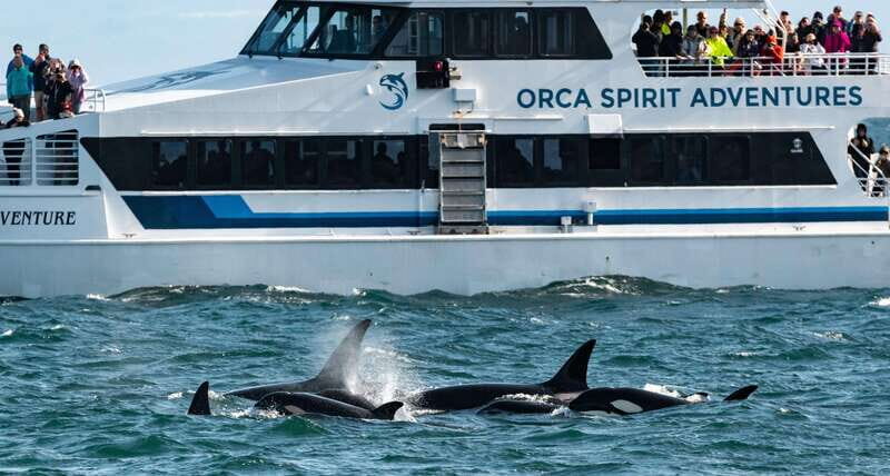 From Victoria: Whale Watching Trip on Covered Boat - Exploring the Itinerary and Experience