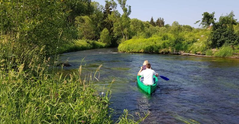 From Viechtach: Regen River Canoe Tour to Höllensteinsee - Detailed Review of the Canoe Tour Experience