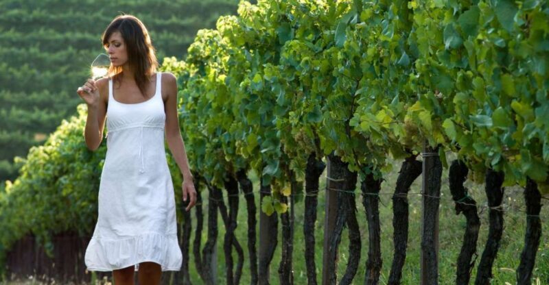 From Vienna: Half-day Countryside Wine Tour with Meal - A Close Look at the Vienna Countryside Wine Tour