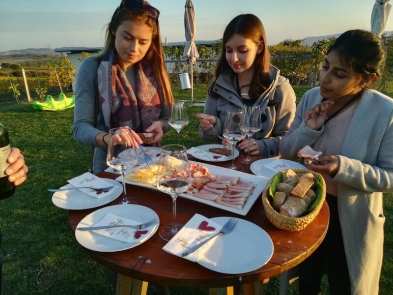 From Vienna: Half-day Countryside Wine Tour with Meal - Final Verdict