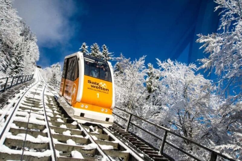 From Vienna: Hallstatt Day Trip with Skywalk and Schloss Ort - Key Points