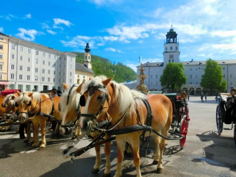From Vienna: Salzburg Small-Group Day Trip - Value and Cost Analysis