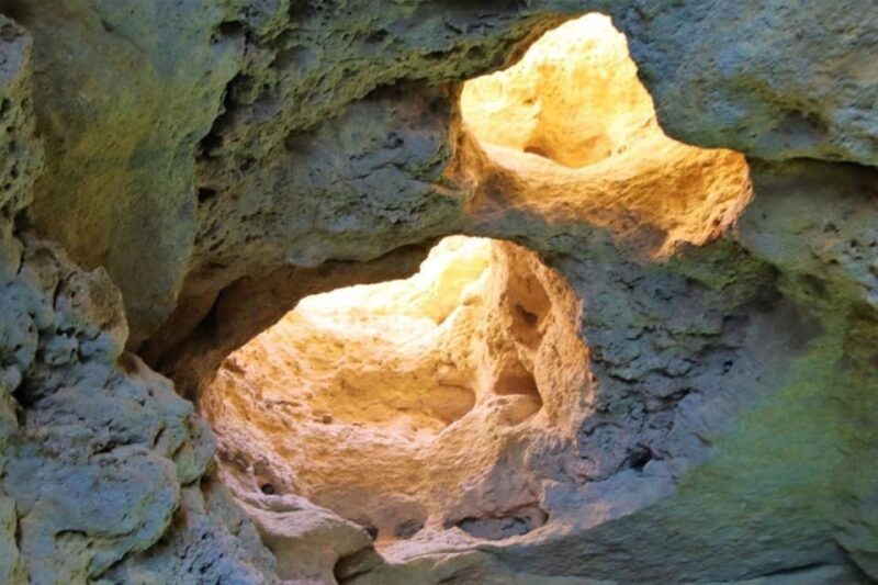 From Vilamoura: 2.5-Hour Benagil Cave and Dolphins Boat Tour - FAQs