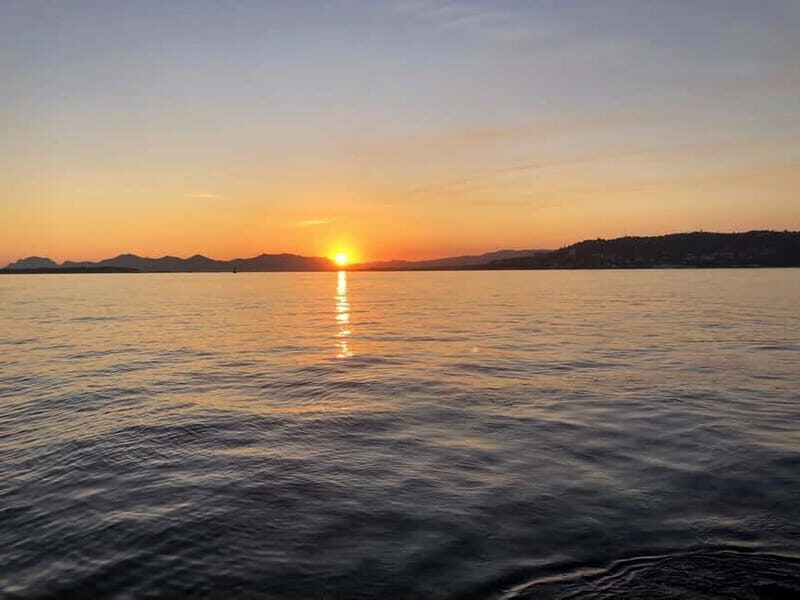 From Villefranche-Sur-Mer: Night Show Cruise - What’s Included and What’s Not