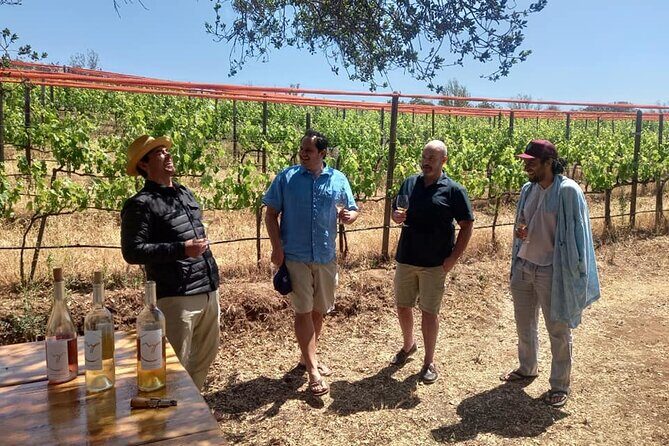 From Vine to Glass in Bajas Beautiful Valleys - An In-Depth Look at the Tour Itself