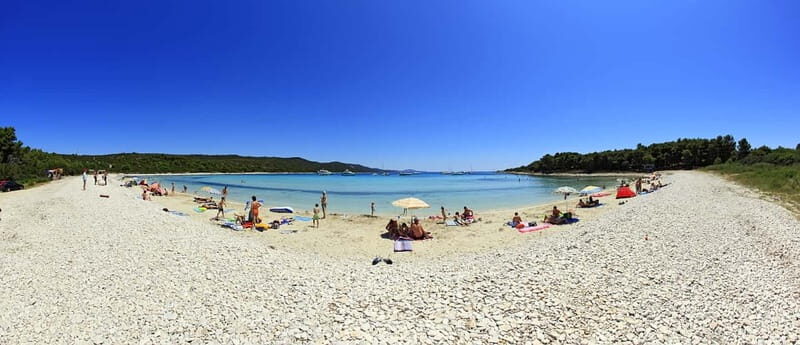 From Vir: Full-Day Guided Trip to Sakarun Beach - Key Points