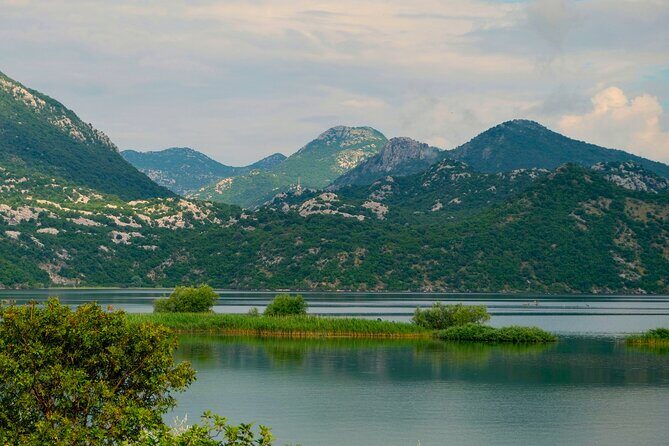 From Virpazar: Visit Karu, the hidden pearl of Lake Skadar - Birdwatching and sanctuary views at Moraca River
