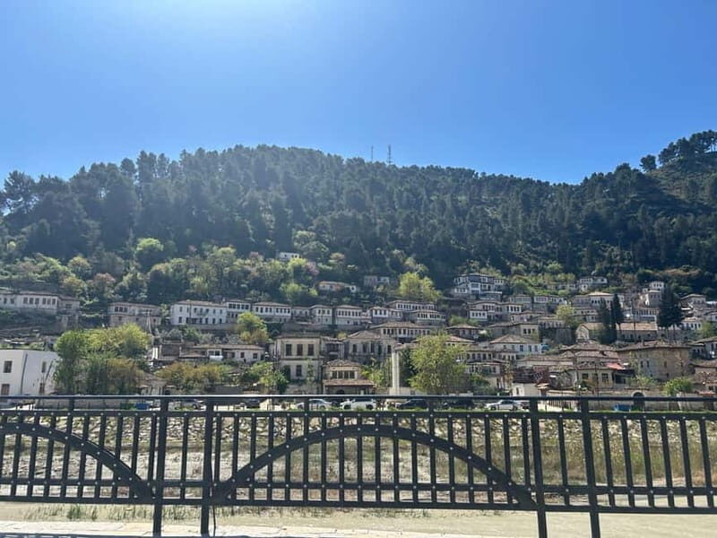 From Vlora: Zvernec, Apollonia & Berat Day Tour - Final Thoughts: Who Will Love This Tour?