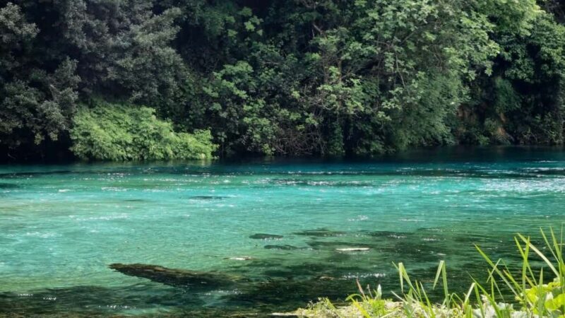 From Vlora:Tepelene Springs, Gjirokaster & Blue Eye Day Tour - Authentic Experiences & Feedback