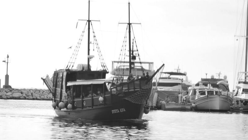 From Vrsar: Boat Trip to Rovinj and Lim Fjord - Real Travelers’ Perspectives